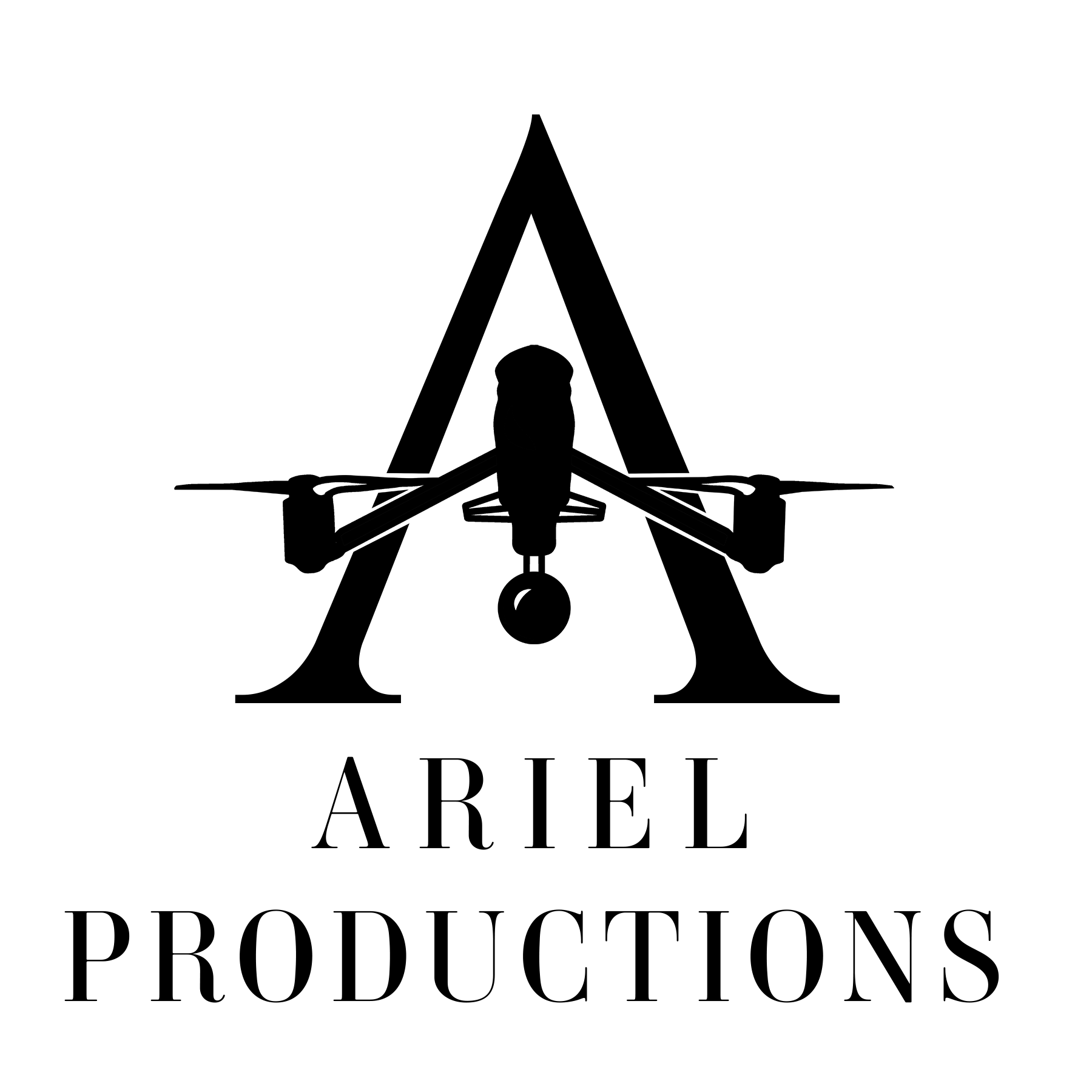 Ariel Production Services – Digital Marketing Division